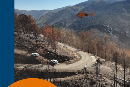 Así actuamos en las zonas afectadas por los incendios de este verano ...